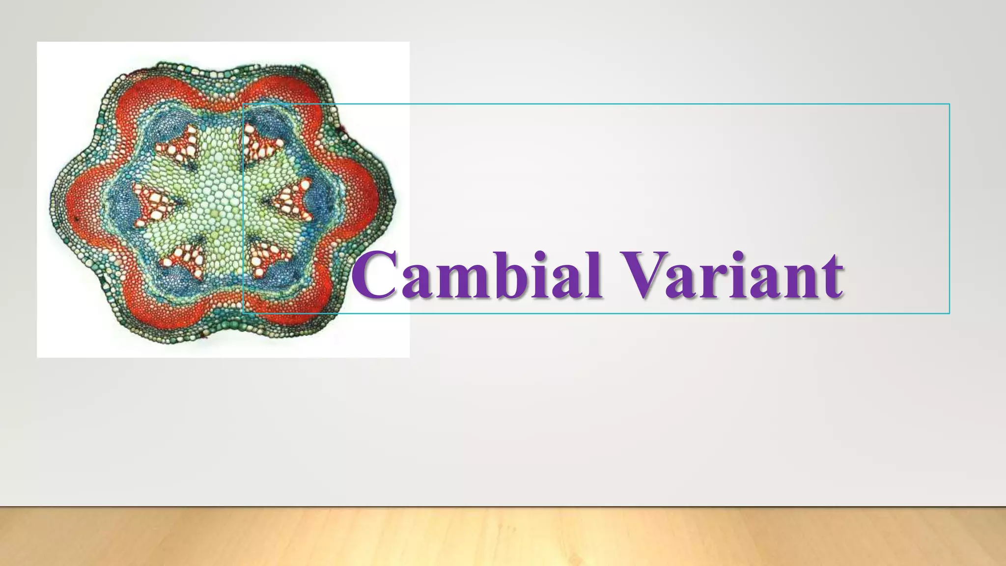 CAMBIAL VARIANTS.pptx
