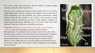 CAMBIAL VARIANTS.pptx