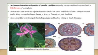 CAMBIAL VARIANTS.pptx