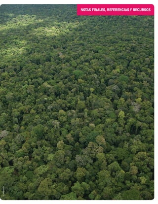 Cambio Climatico y el Rol de los Bosques | PDF