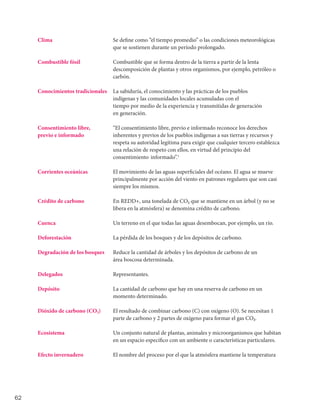 Cambio Climatico y el Rol de los Bosques | PDF