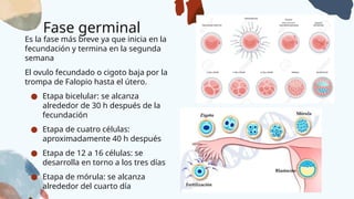 cambios-FisicosyfisiologicosDelamadre.pptx