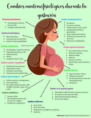 CAMBIOS ANATOMOFISIOLOGICOS DURANTE LA GESTACION ORIGINAL.pdf