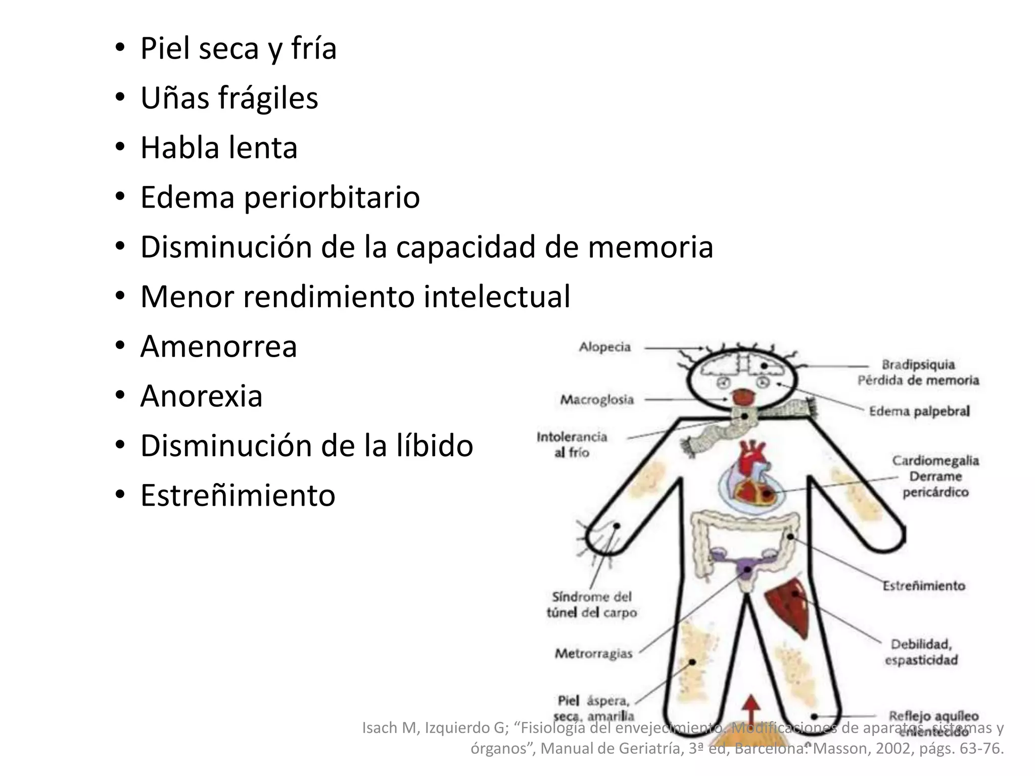 Cambios anatomofuncionales del Sistema Endocrino en el Adulto Mayor | PPTX