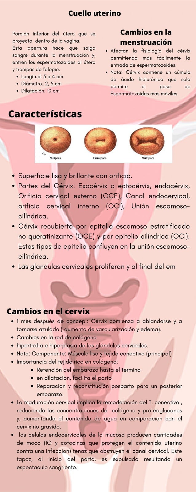 Cambios del cuello uterino.pdf
