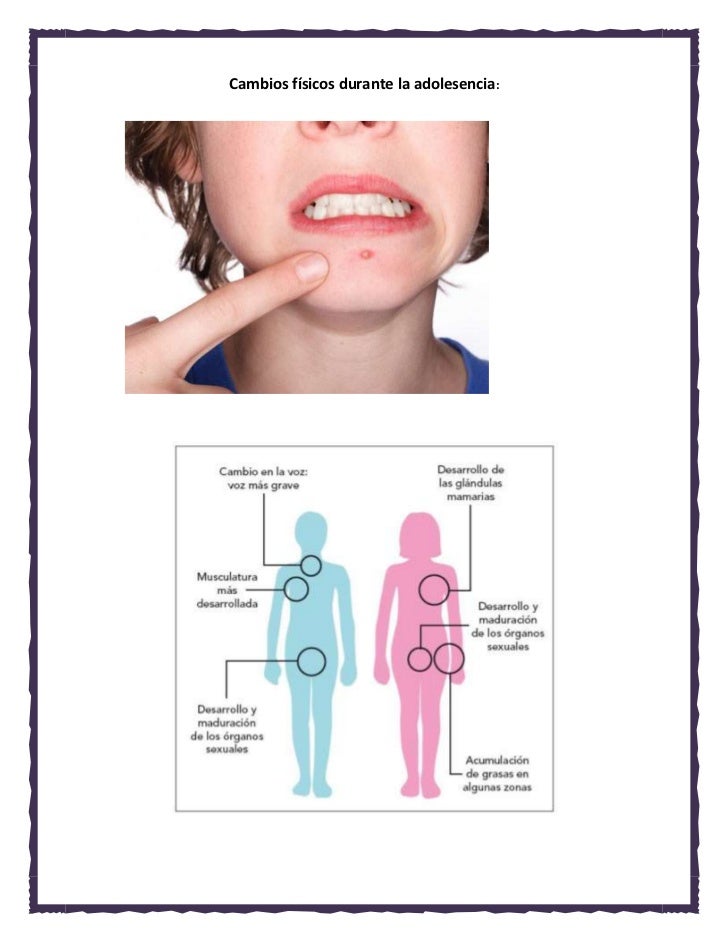 Cambios durante la adolescencia