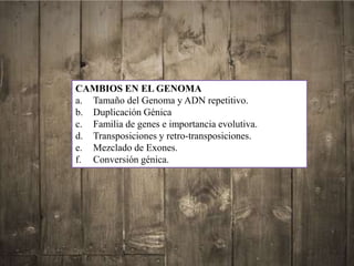 Cambios en el genoma | PPTX