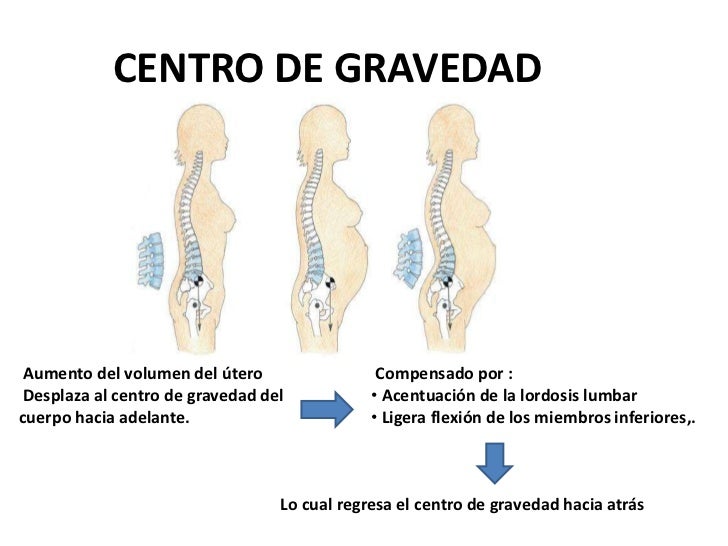 La lordosis durante el embarazo y el parto - Blog de Salud, ejercicio ...