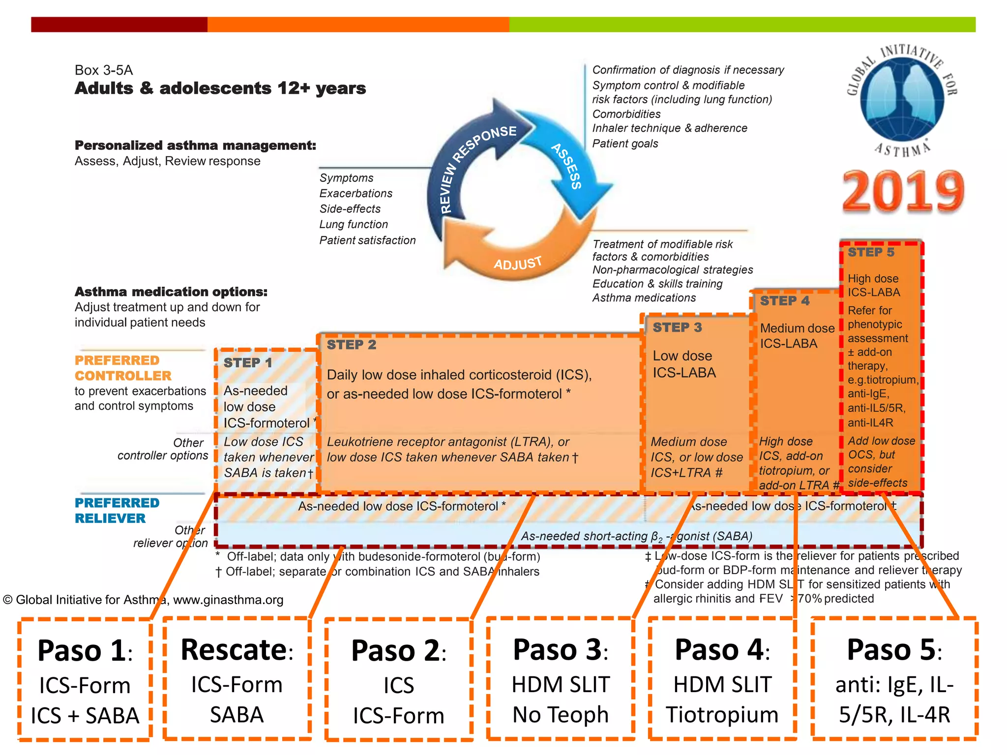 Cambios en GINA 2019 - Prof. Ortega Martell | PPTX