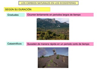 Cambios en los ecosistemas 2015 | PPT