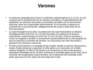 Cambios fisicos en la adolescencia | PPTX