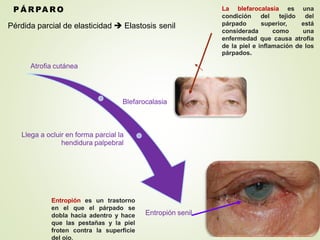 Cambios fisicos – fisiológicos en los órganos sensoriales | PPTX