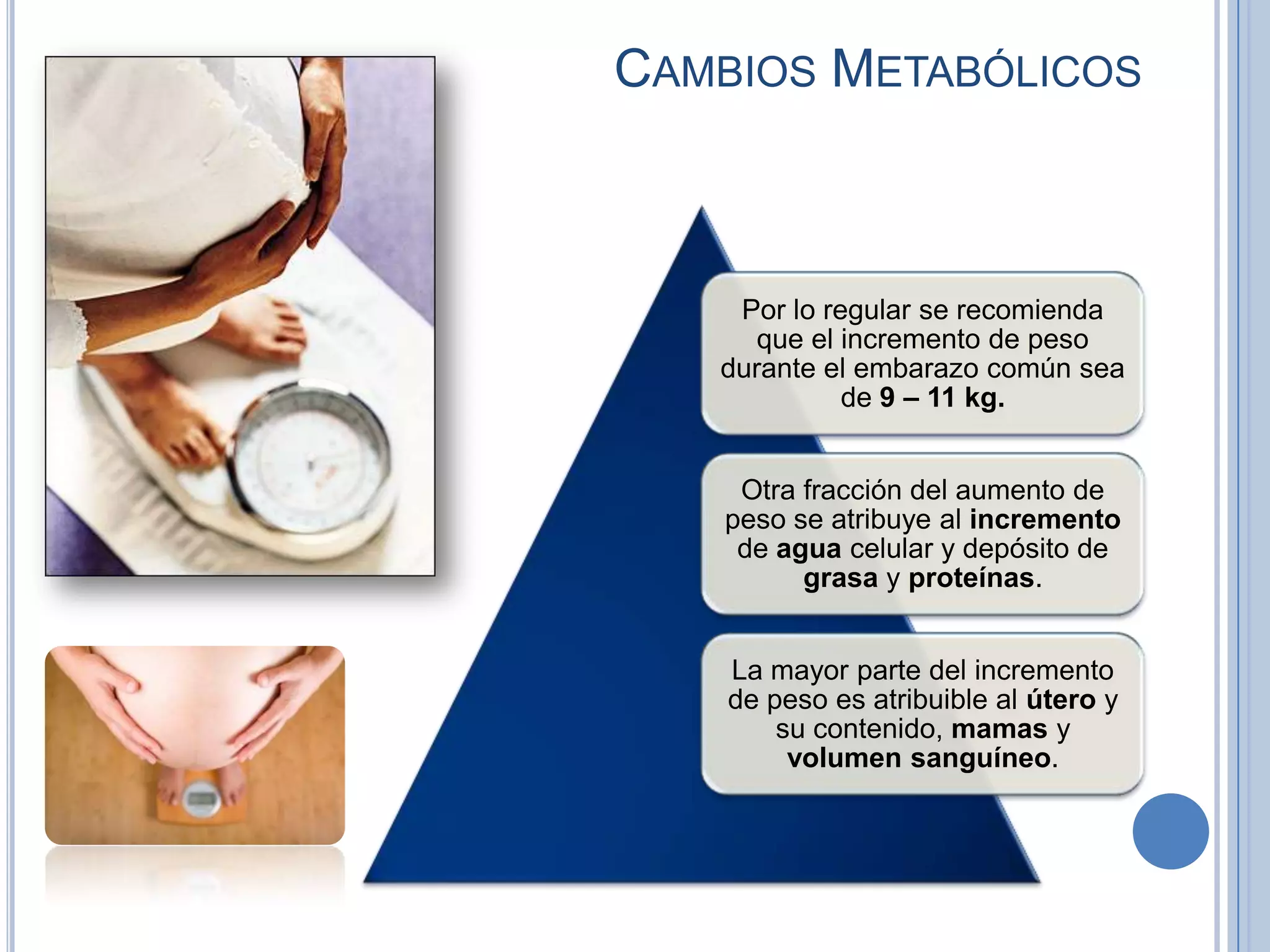 Cambios fisiológicos del embarazo | PPTX
