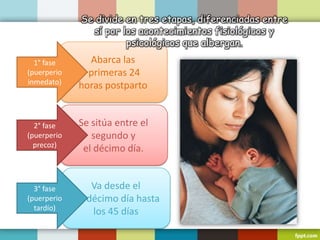 Cambios fisiologicos, anatomicos y atencion en el puerperio | PPTX