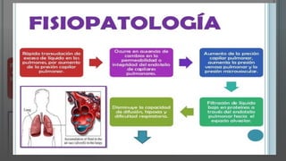 cambios fisiologicos del embarazo_085437.pptx