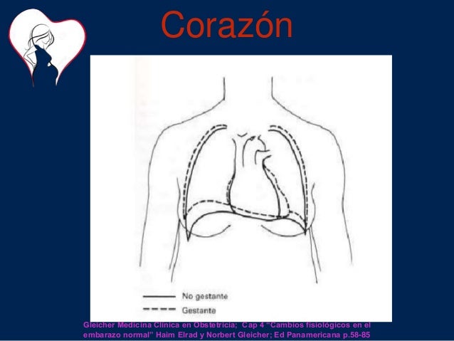 Cambios fisiológicos durante el embarazo