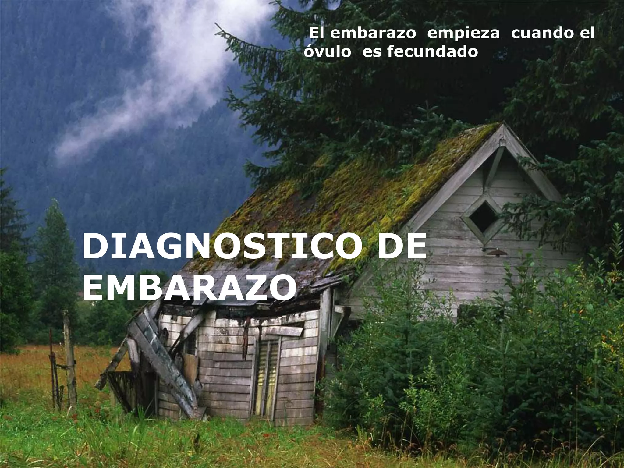 Cambios Fisiologicos En El Embarazo | PPT
