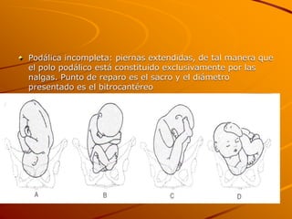 Cambios_fisiologicos_maternos_durante_el_embarazo.ppt