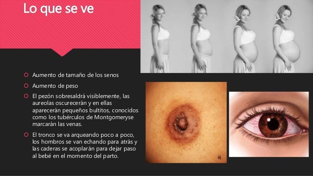 Cambios morfo fisiológicos de la mujer