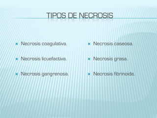 Cambios morfologicos celulares en la necrosis full version1.2 | PDF