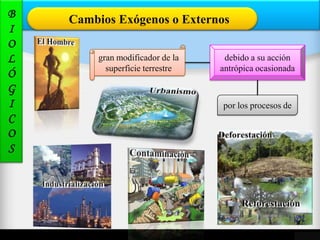 Cambios Terrestres | PPTX