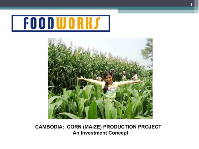 Cambodia Corn Project | PPT