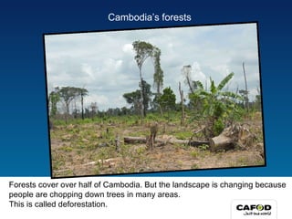 Cambodia Powerpoint | PPT