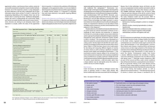 Cambra Odontologia | PDF