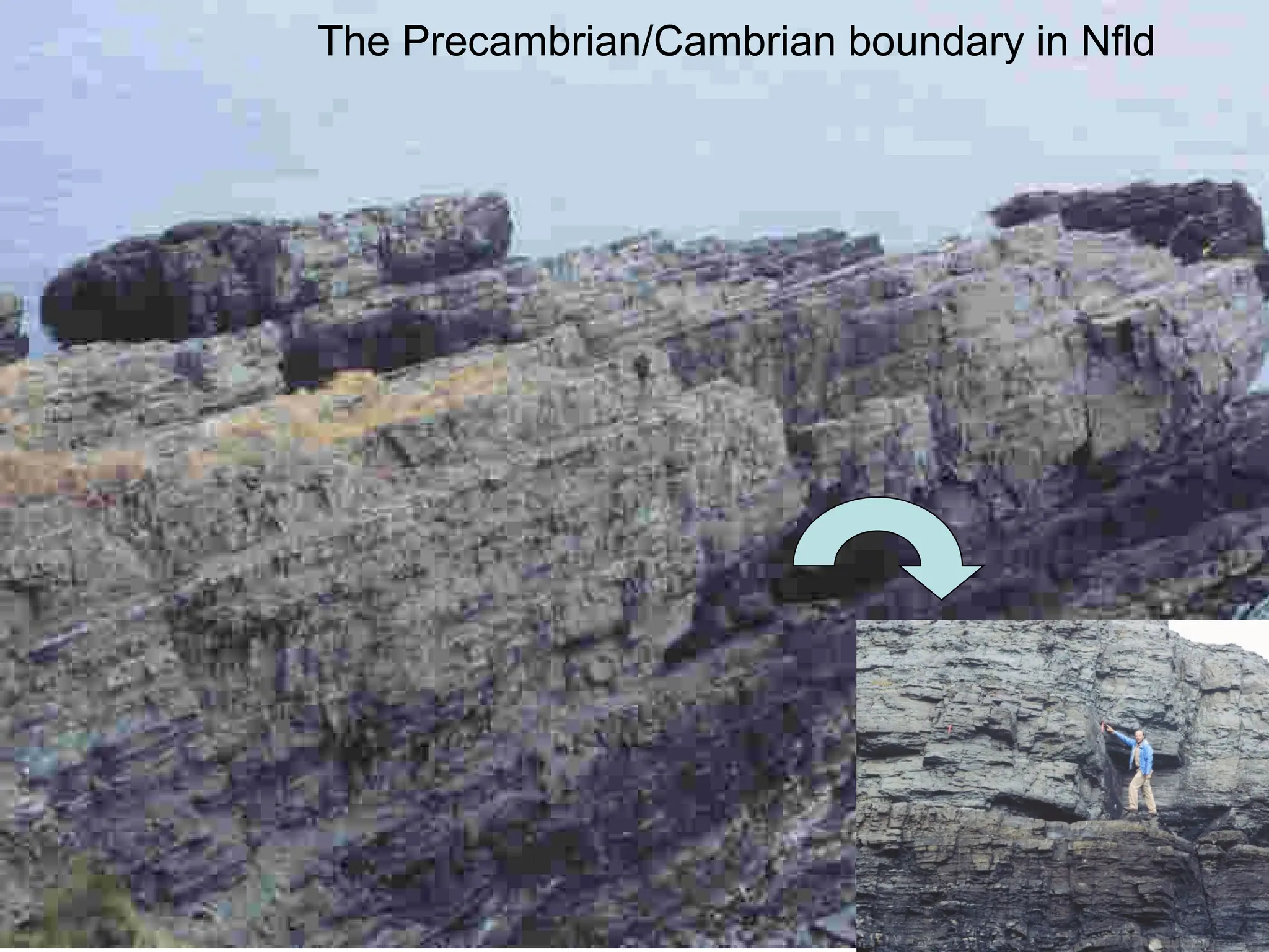 Cambrian radiation Geologic Time Scale... | PPT
