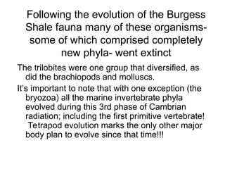 Cambrian radiation Geologic Time Scale... | PPT