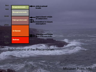 Cambrian radiation Geologic Time Scale... | PPT