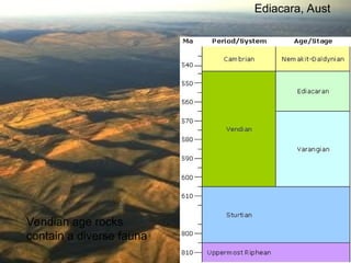 Cambrian radiation Geologic Time Scale... | PPT