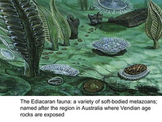 Cambrian radiation Geologic Time Scale... | PPT