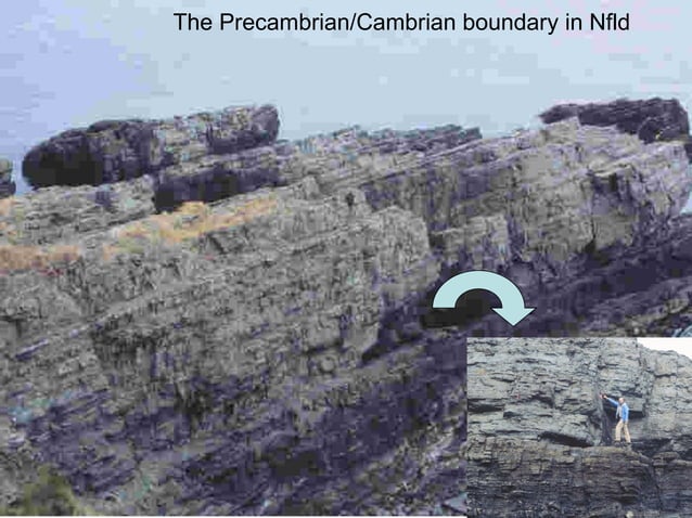 Cambrian radiation Geologic Time Scale... | PPT