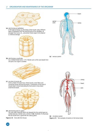 Cambridge-IGCSE-Biology-3rd-Edition-pdf.pdf
