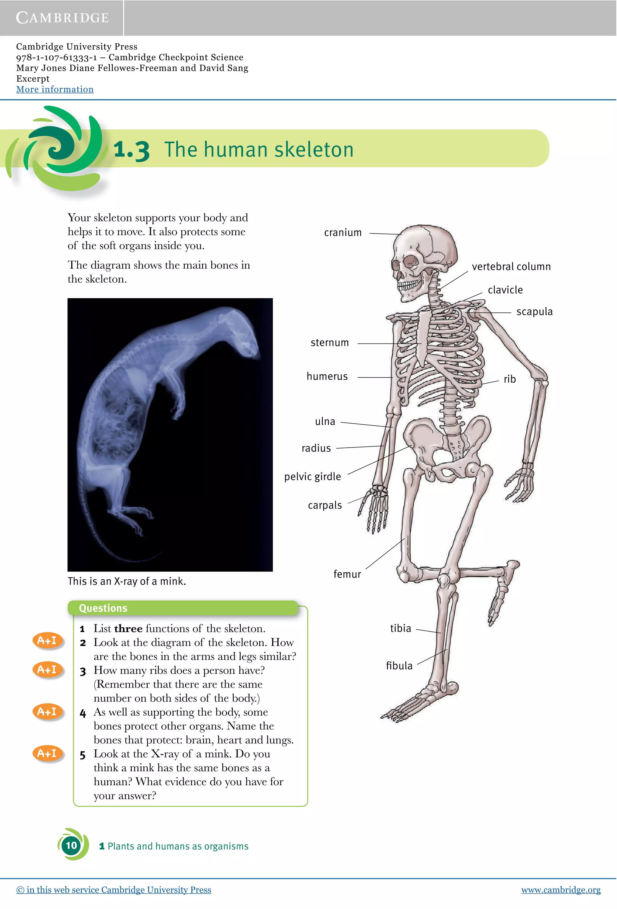 Cambridge checkpoint science_coursebook_7 | PDF