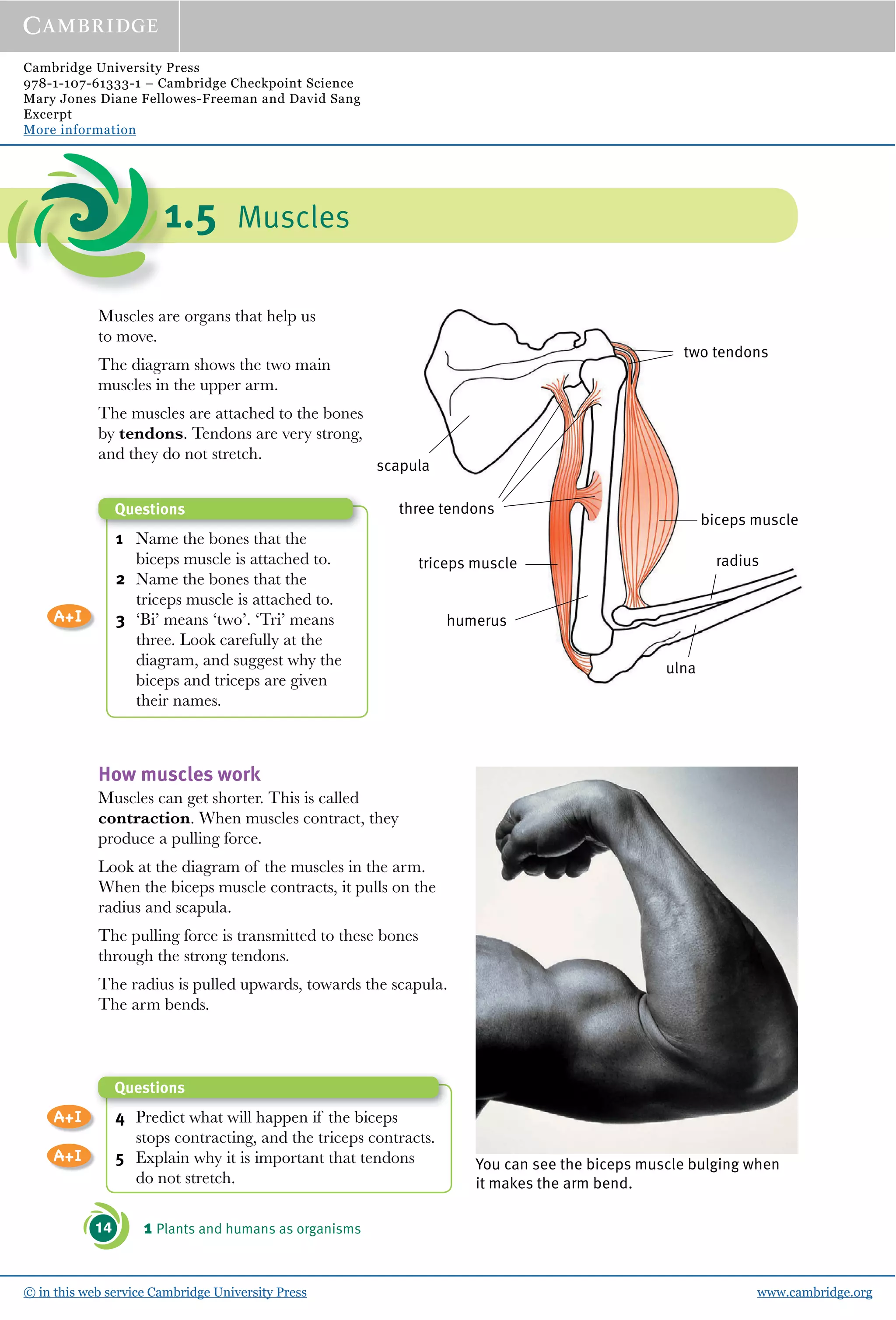 Cambridge checkpoint science_coursebook_7 | PDF