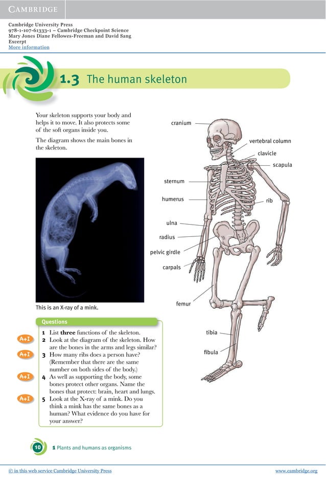 Cambridge checkpoint science_coursebook_7 | PDF | Geology | Science