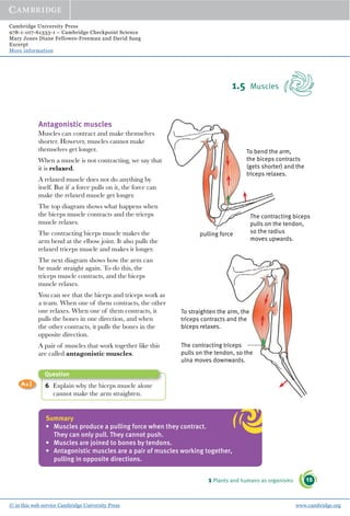 Cambridge checkpoint science_coursebook_7 | PDF