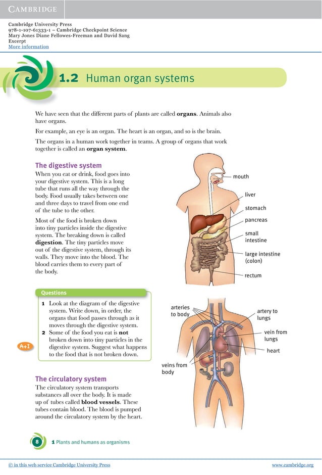 Cambridge checkpoint science_coursebook_7 | PDF | Geology | Science