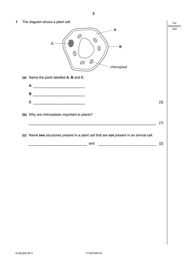 Cambridge checkpoint science p1 specimen 2012 | PDF