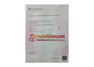 Replacement Certificate of Cambridge IGCSE.pdf
