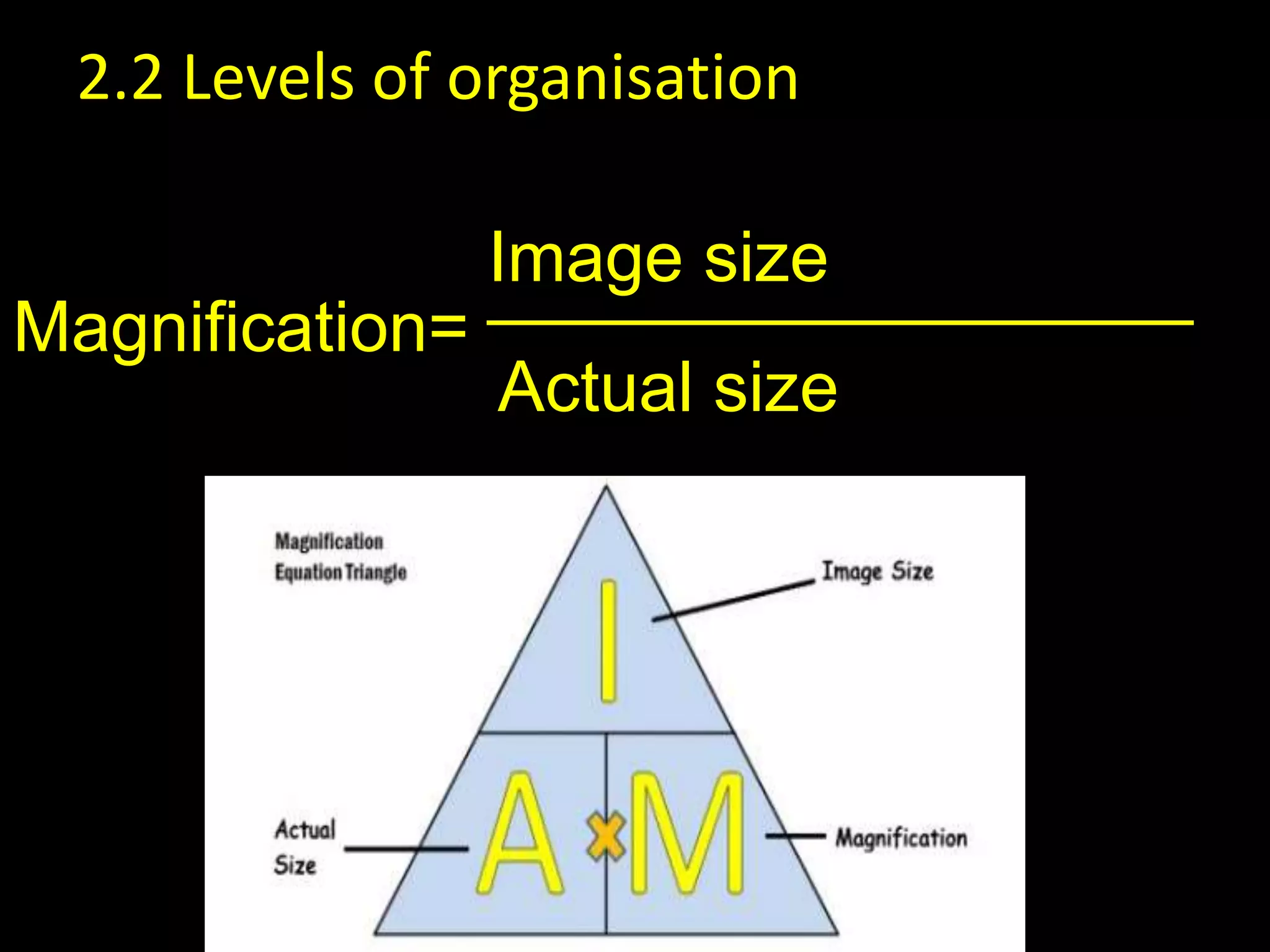 Cambridge igcse biology ( 2016 2018) cell | PPT