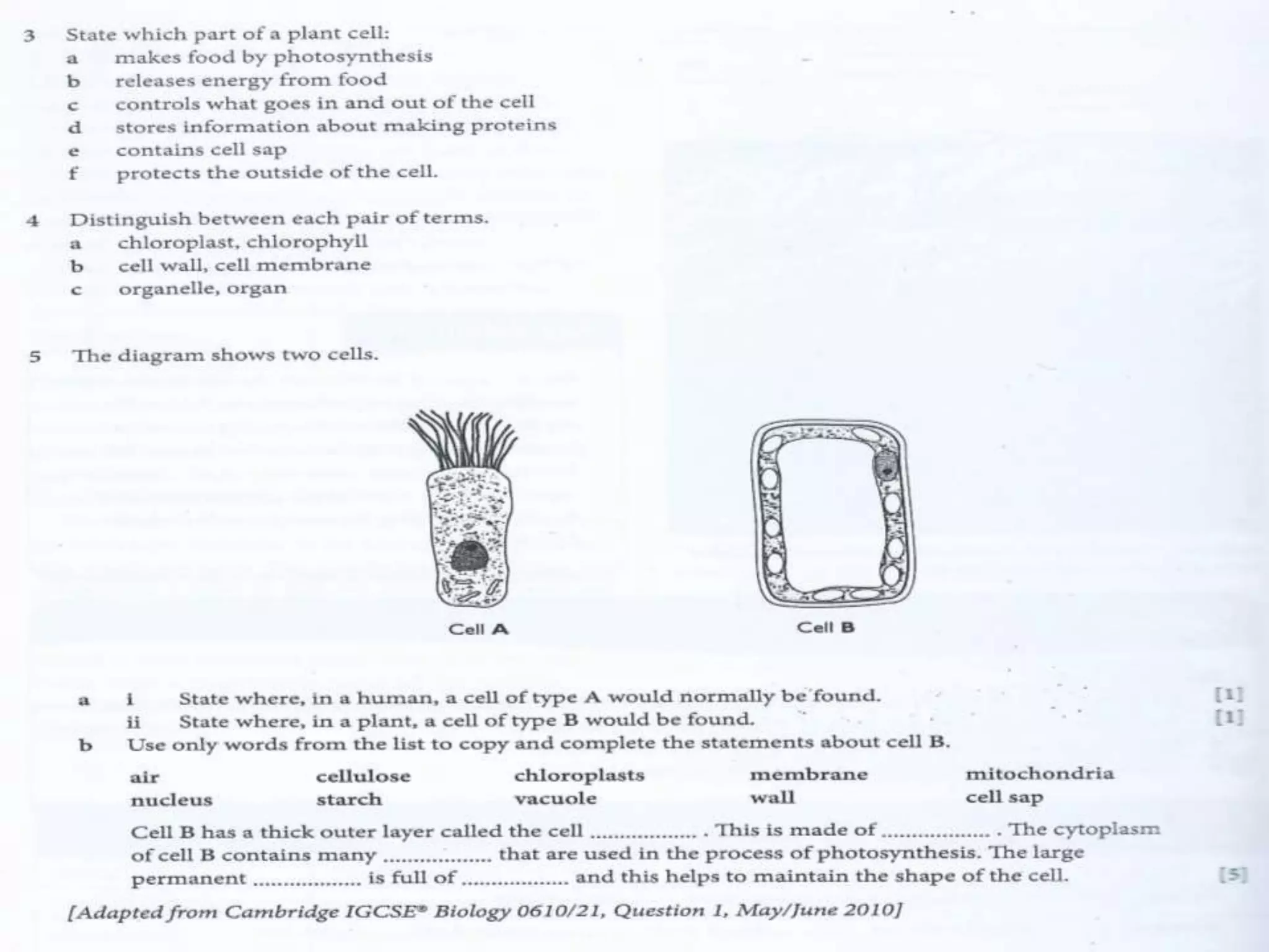 Cambridge igcse biology ( 2016 2018) cell | PPTX