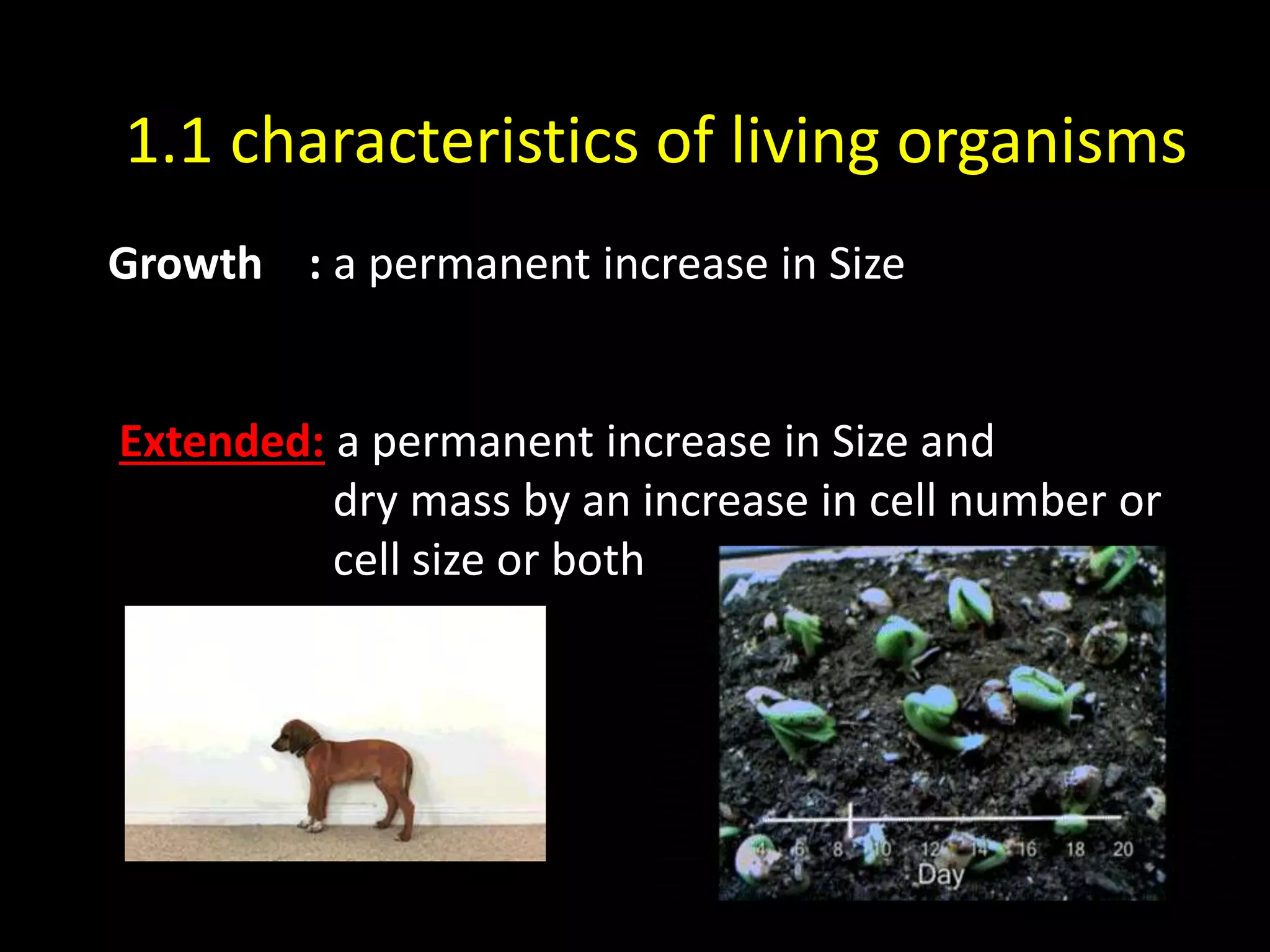 Cambridge igcse biology ( 2016 2018) classification of living organisms ...