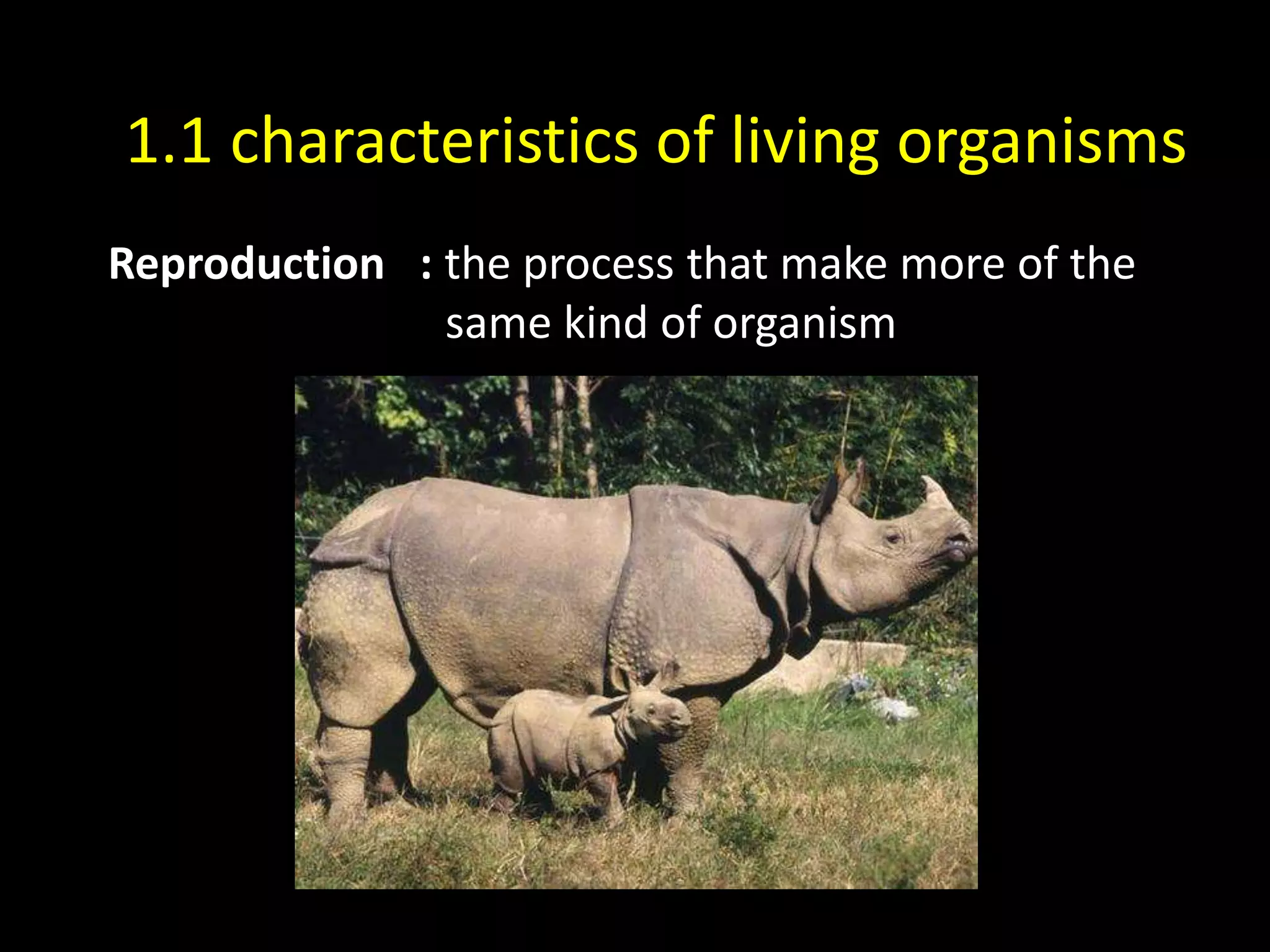Cambridge igcse biology ( 2016 2018) classification of living organisms ...