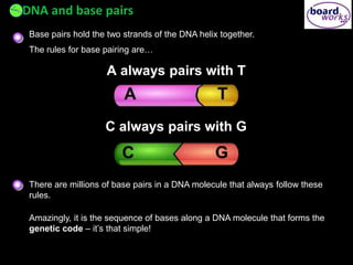 Cambridge igcse biology ( 2016 2018) classification of living organisms ...