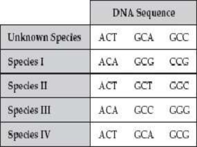 Cambridge igcse biology ( 2016 2018) classification of living organisms ...