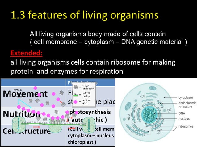 Cambridge igcse biology ( 2016 2018) classification of living organisms ...