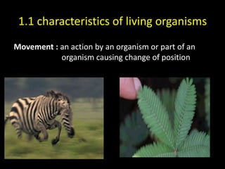 Cambridge igcse biology ( 2016 2018) classification of living organisms ...